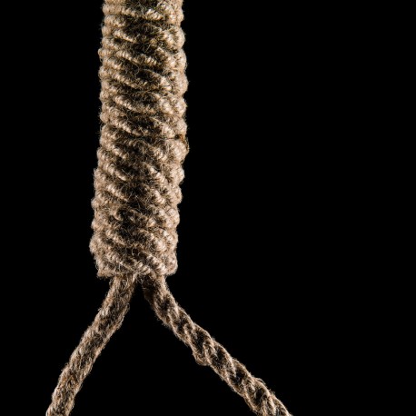 Noose | Petri Damstén